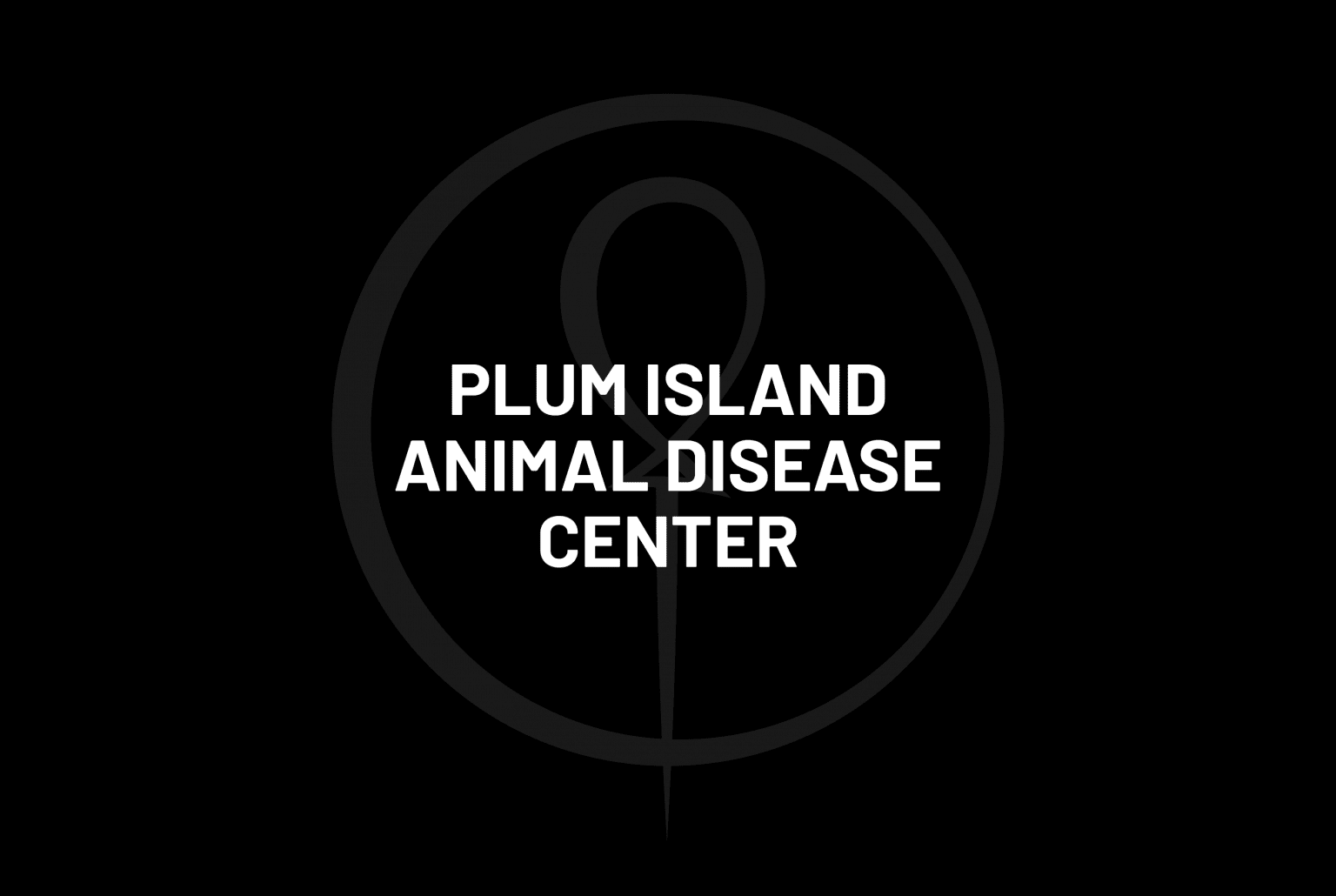 Red Balloon Security | Embedded Device Security Solutions